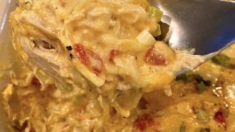 Velveeta Rotel Chicken Pasta Recipe In The Kitchen: Chicken Spaghetti