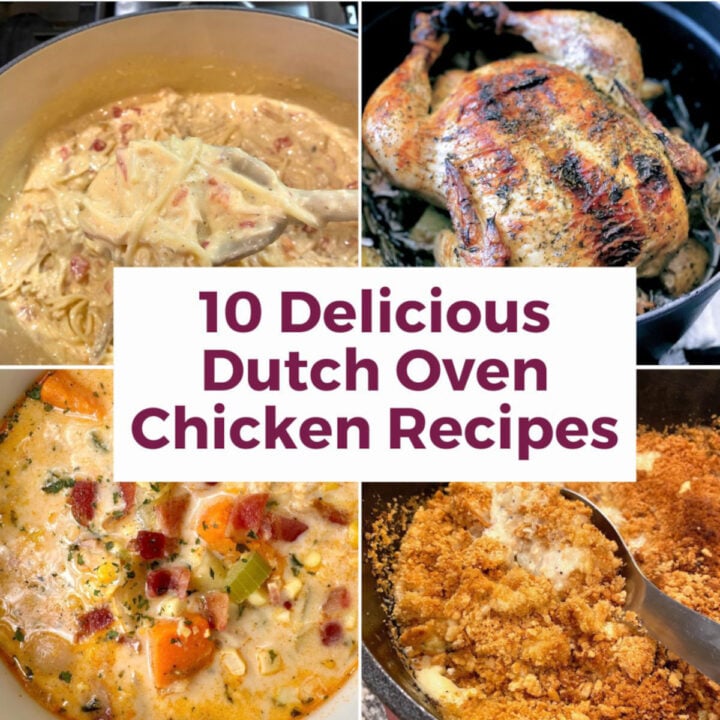 10 Dutch Oven Chicken Recipes - Crinkled Cookbook
